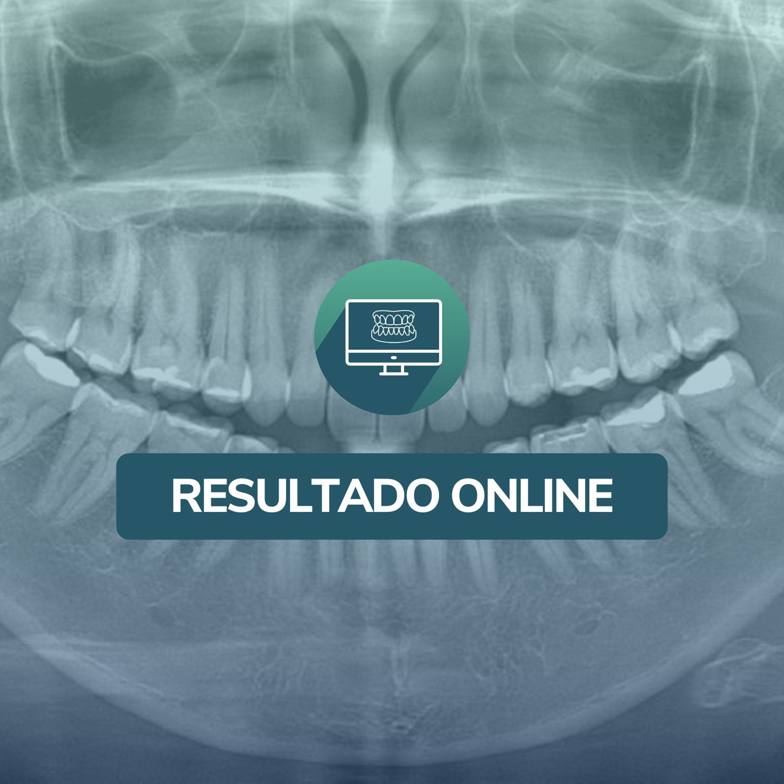 Focus Radiologia | Focus Radiologia